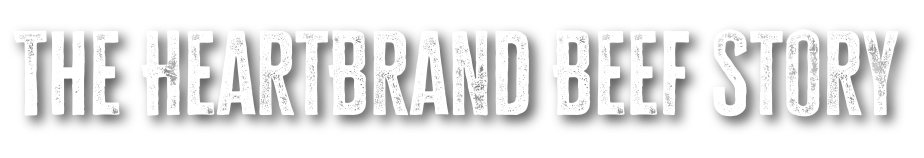 Pages | HeartBrand Beef